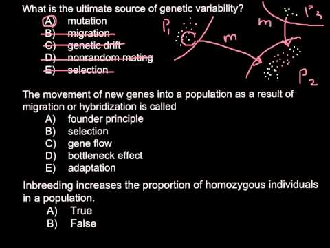 What is the ultimate source of genetic variability