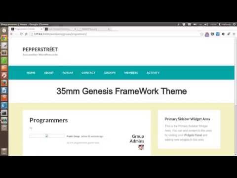 Beginners Guide To BuddyPress