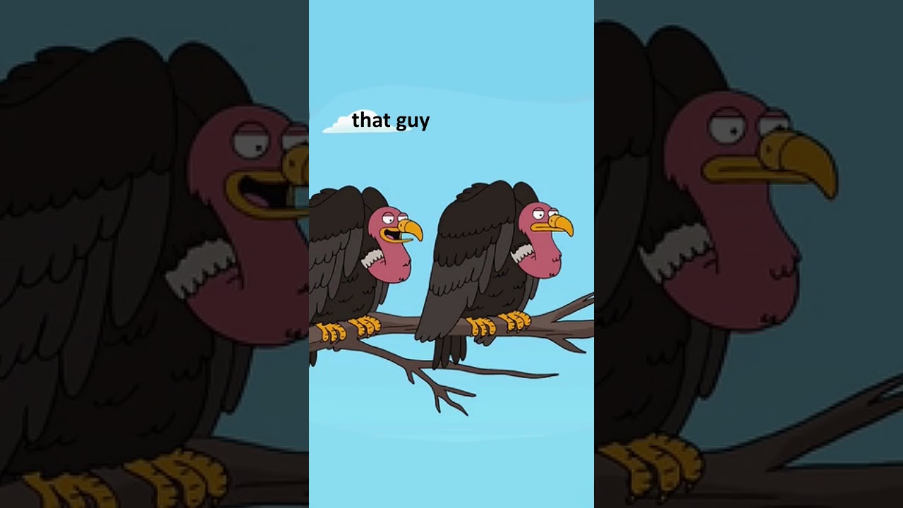 bird's eye view #toon #buzzard