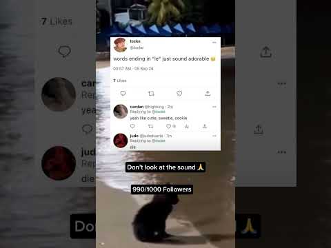 All words ending with “ie” ARE FAKE 😂#funnyvideo #memes #fyp #shorts #twitter #x #comment