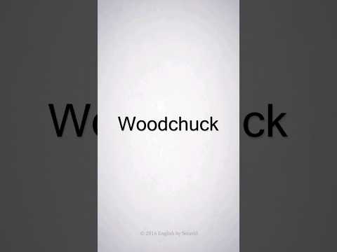 Woodchuck