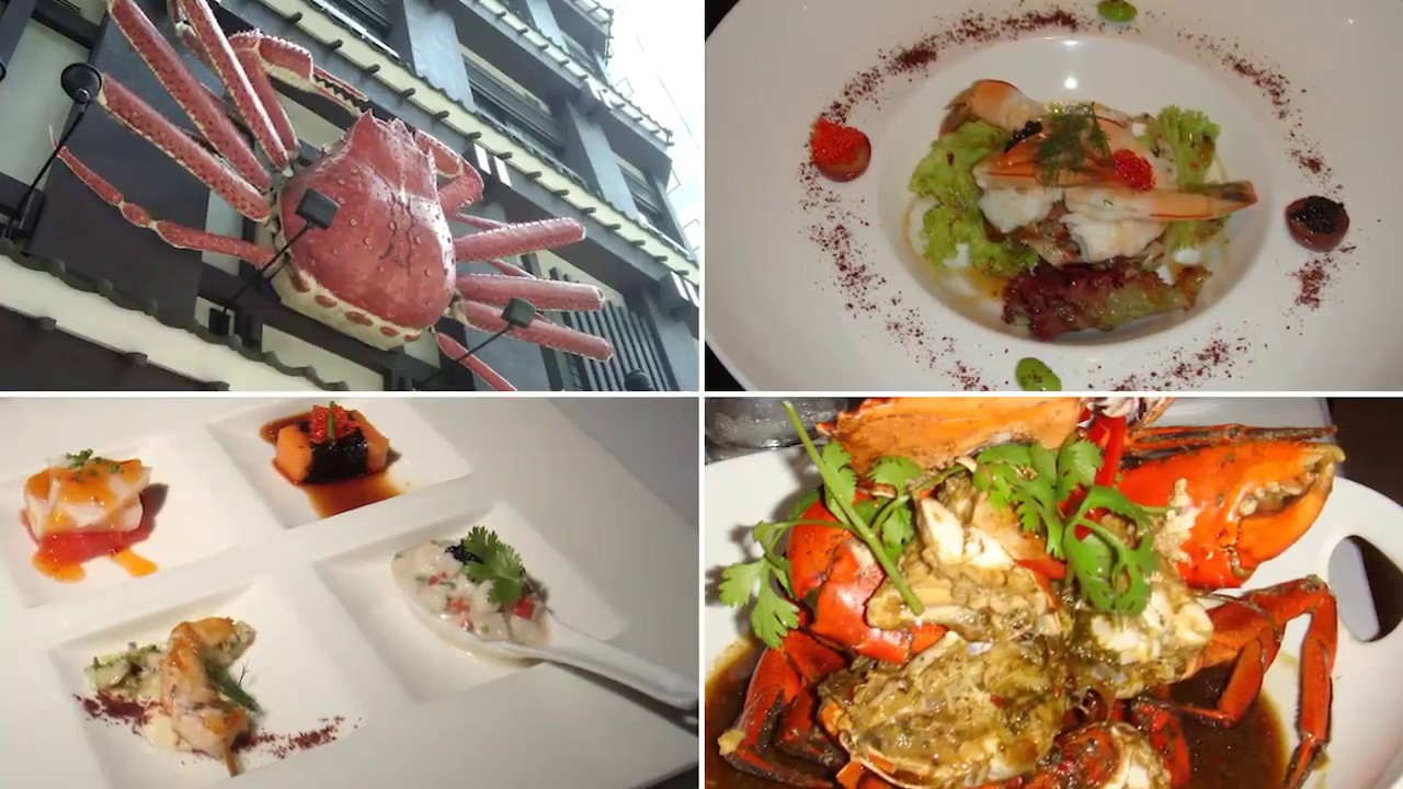 Food Obsession Teaser