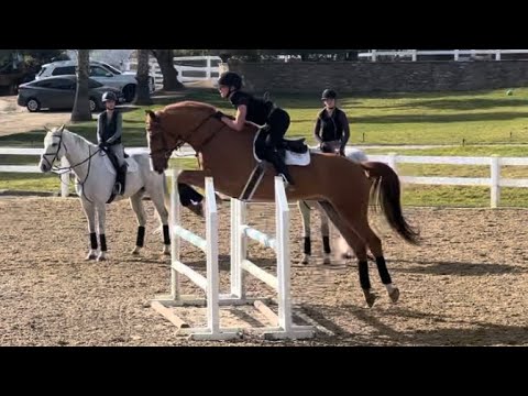 29. 2024 Schooling