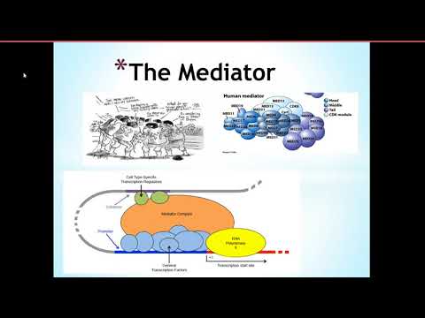 Mediator Complex and Cominbation Control