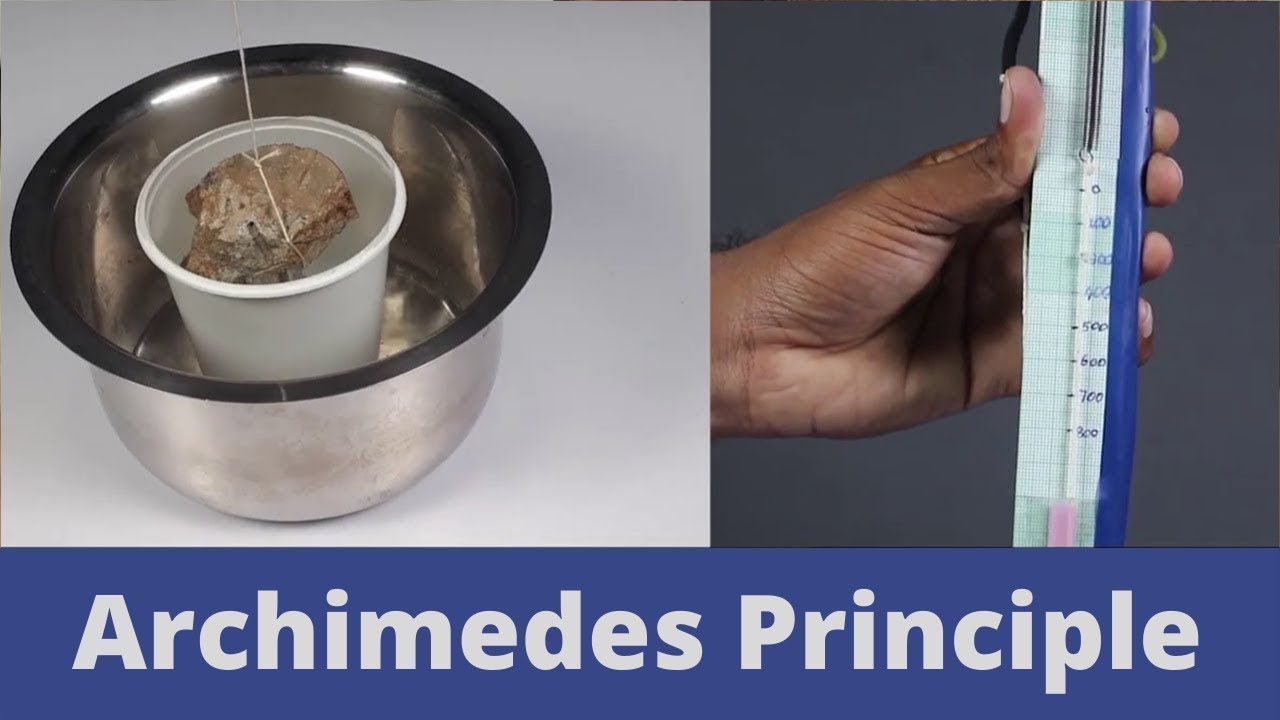 Archimedes Principle | Class 9 Science Lab Experiment
