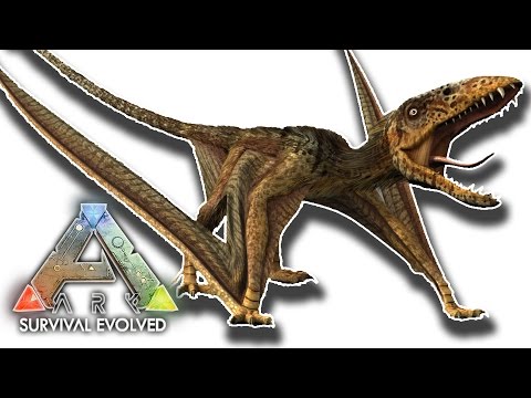 Steam Community :: Video :: NEW DINO! Hunting the Dimorphodon :: Solo ...