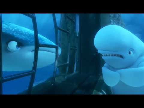 Toons Adventures of Finding Dory - Dory's Reunion/Getting Caught - Wattpad