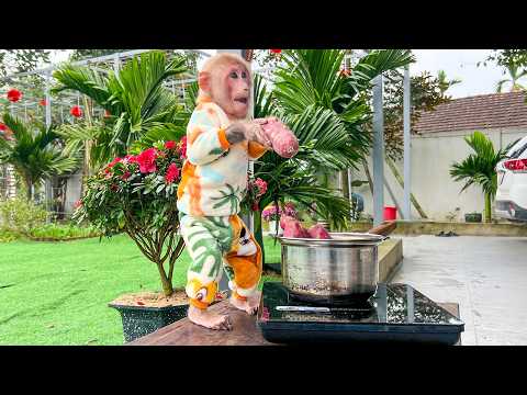 Bibi cooks his favorite sweet potatoes by himself and enjoys them with Dad!