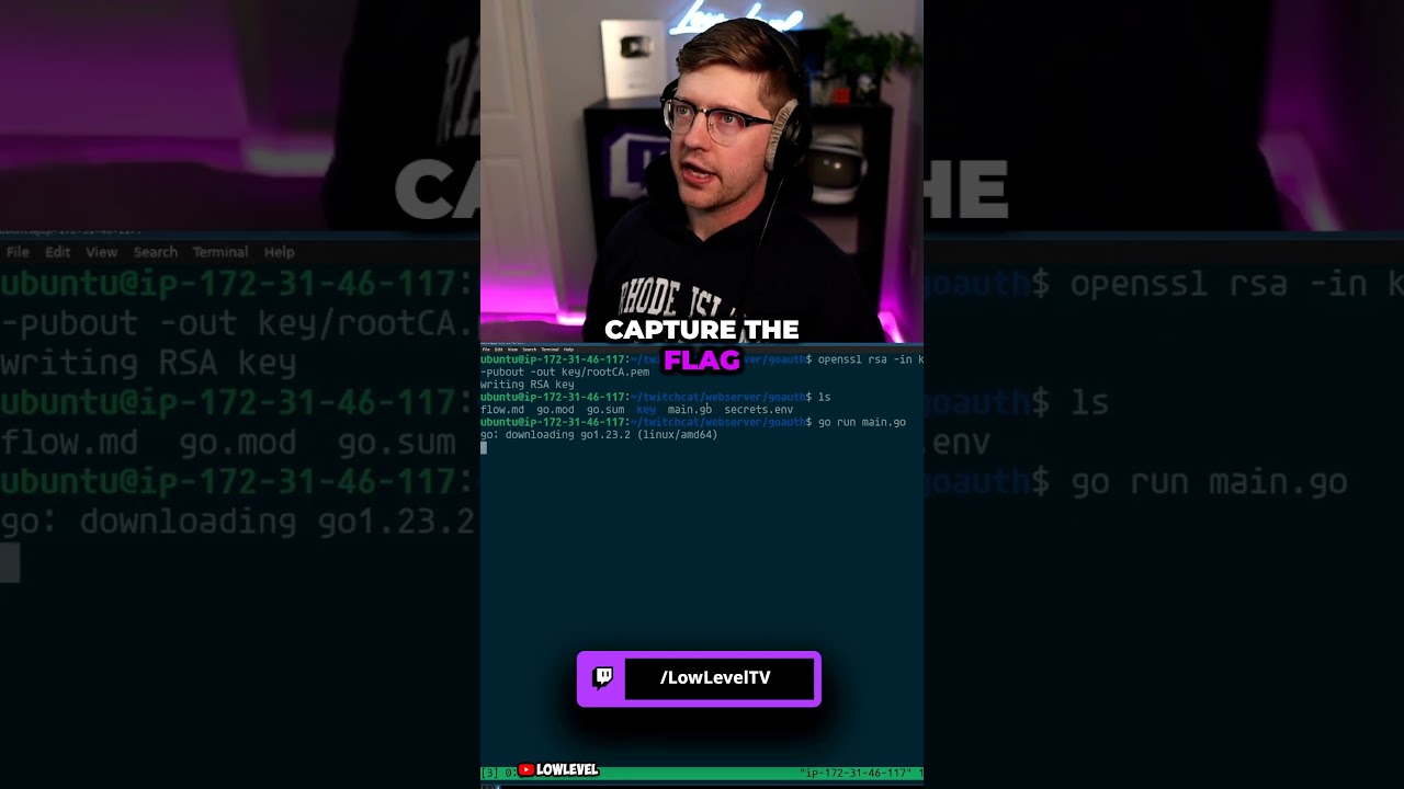 C, but for Offensive Security