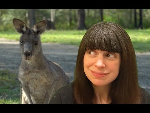 K is for finders Keepers (and Keys!) / ABC Play with Me Series 2