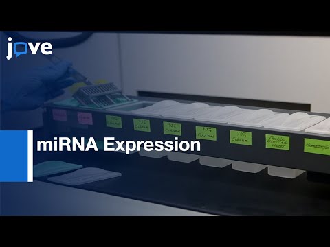 Prostate Cancer Tissues to Analyse miRNA Expression