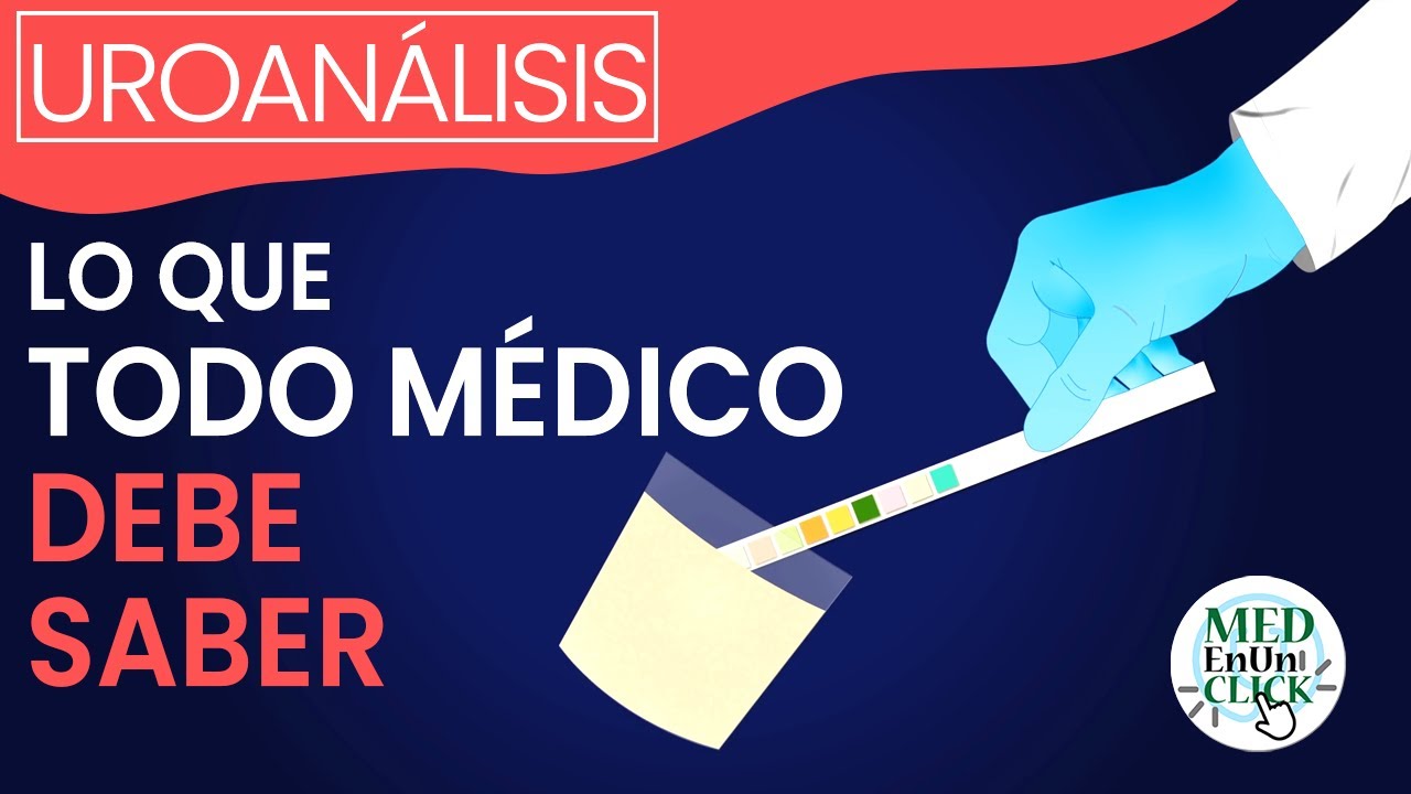 Uroanálisis COMPLETO (interpretación y utilidades)