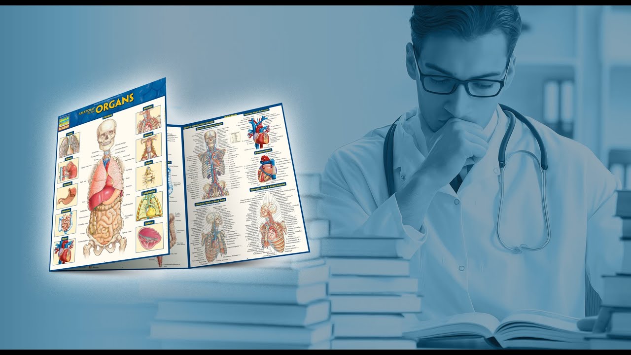 QuickStudy® Anatomy of The Organs Laminated Study Guide
