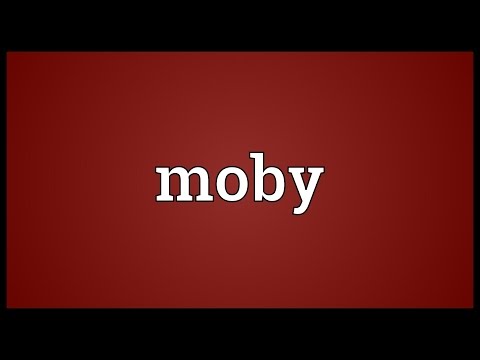 Moby Meaning