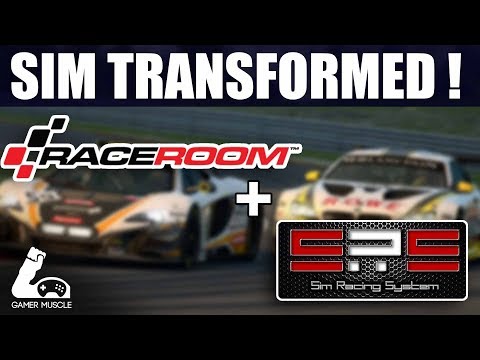Question - Anyone use Sim Racing Systems (SRS) with R3E?