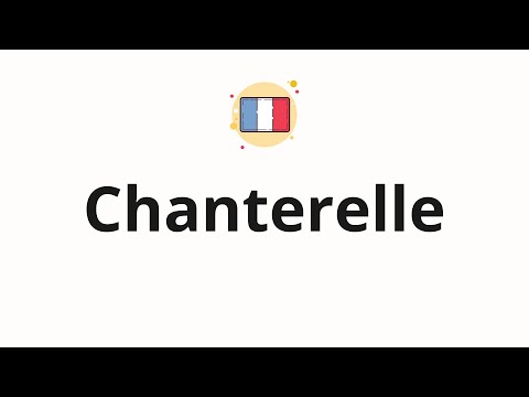 How to pronounce Chanterelle