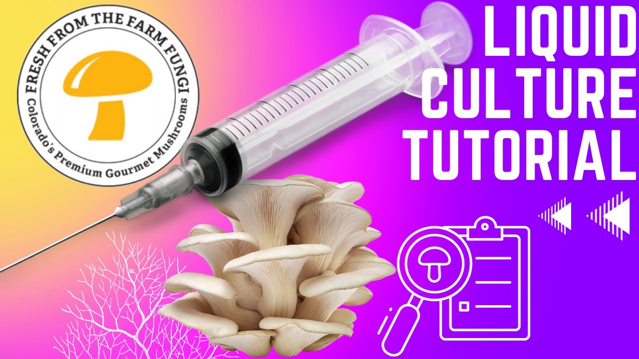 Growing With Liquid Cultures - Grow Mushrooms Canada