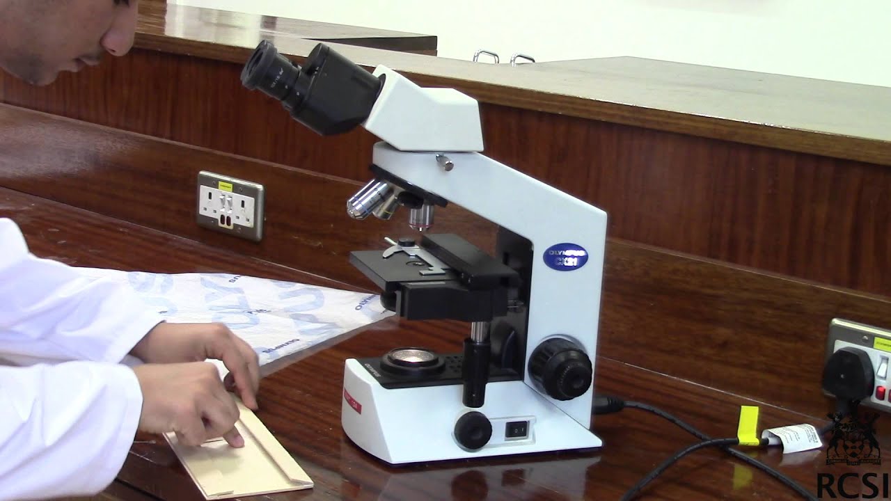 The Student Microscope