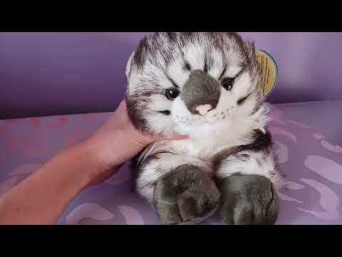 Unboxing Ricky the Maine Coon Cat Plush Toy by Viahart / Tiger Tale Toys ๐