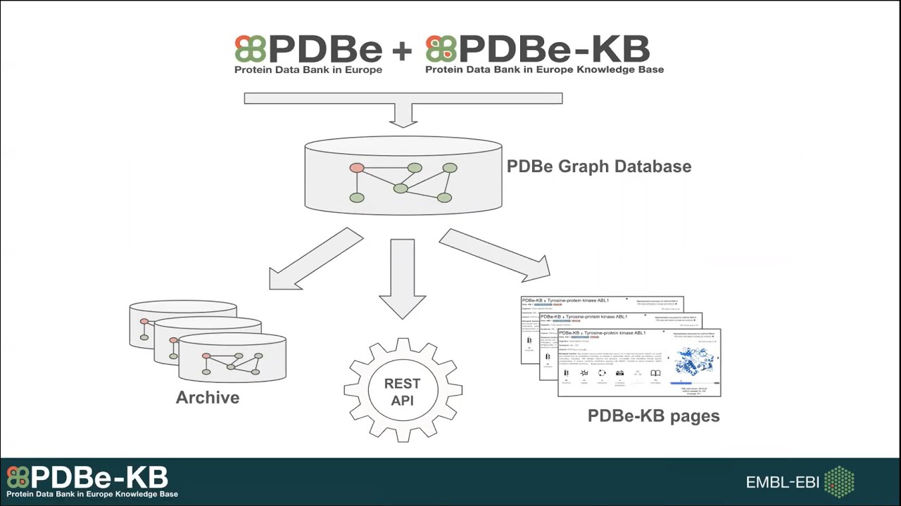 Using PDBe Knowledge Base (PDBe-KB) to support your research