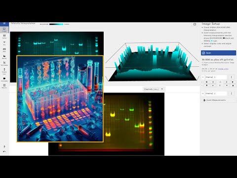 How to Create Multiplex Images from 1D Western Blot/SDS-PAGE Gels in Phoretix 1D