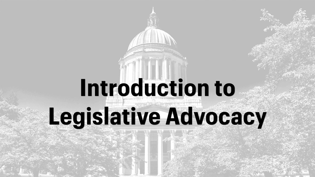 WSNA 2026 Introduction to Legislative Advocacy