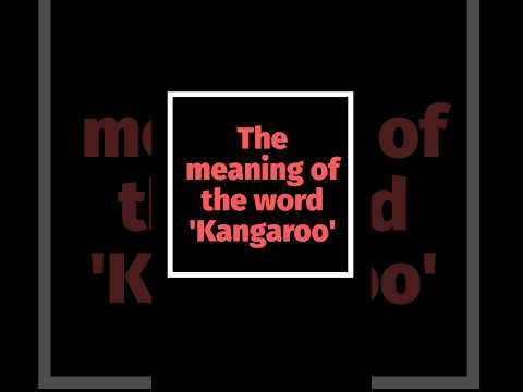 what does the word Kangaroo mean anyway? #etymology #wordmeaning #animalfacts