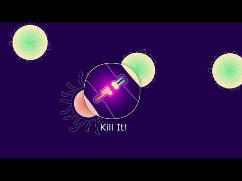 Sanofi – Natural Killer Cells