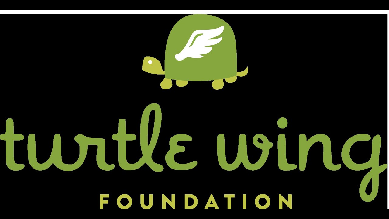 The Who, Why, What, and How of Turtle Wing