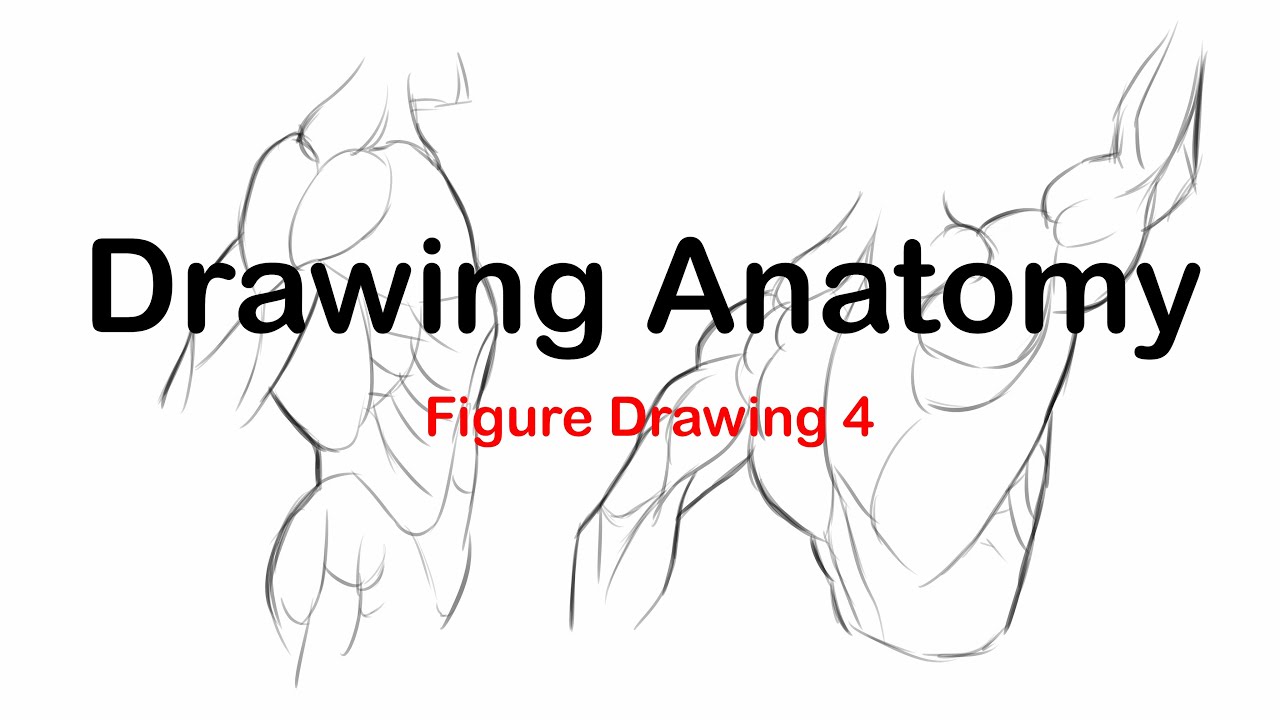 This Amazing Figure Drawing Secret Your Anime Art Is Missing