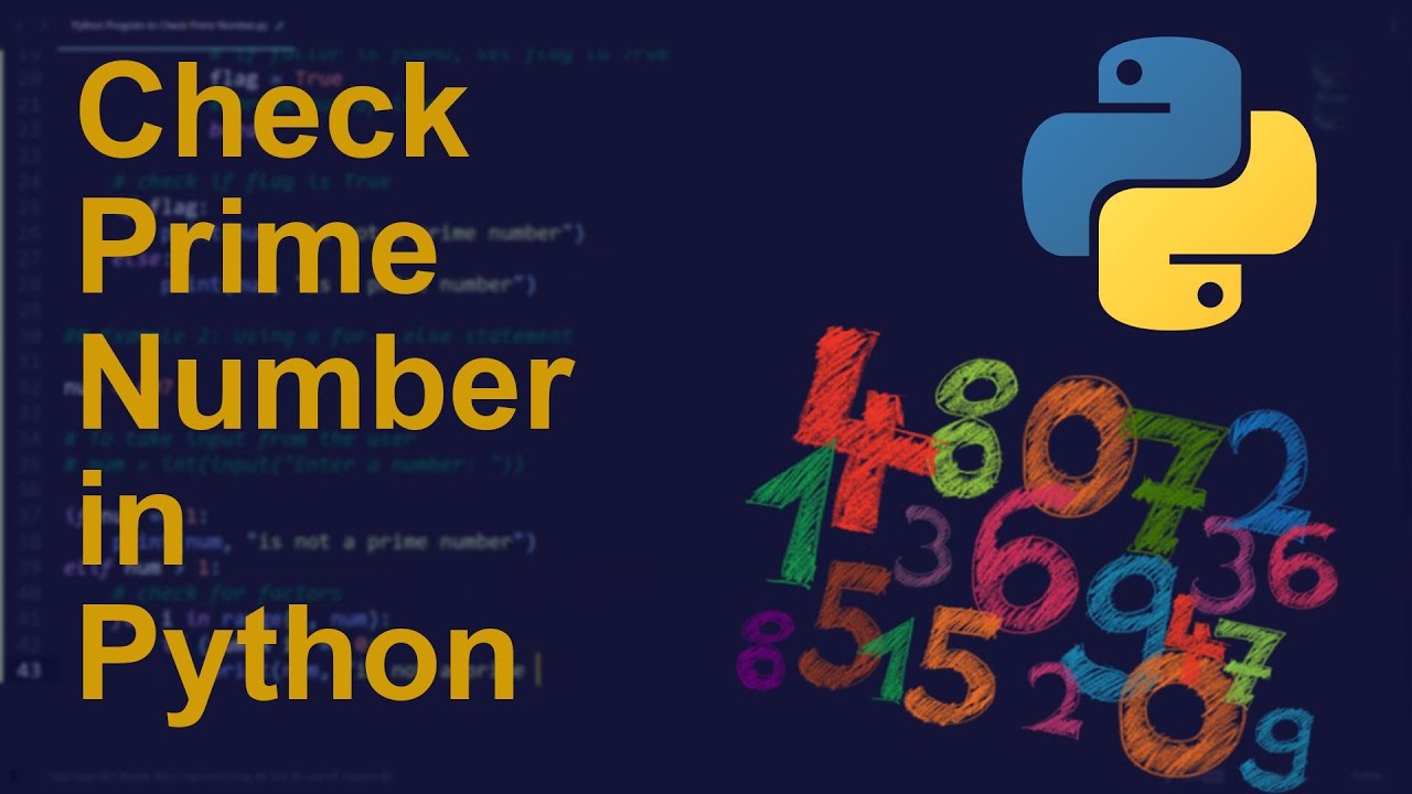 Check Prime Number in Python | Python Examples | Python Coding Tutorial | Python Coding Interview