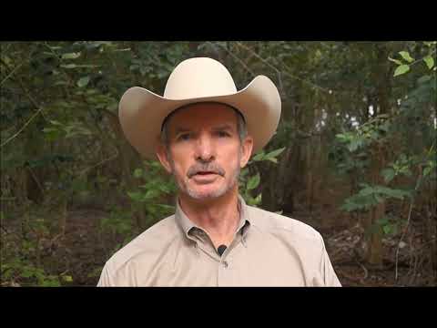 What is a Conservation Easement by Texas Agricultural Land Trust