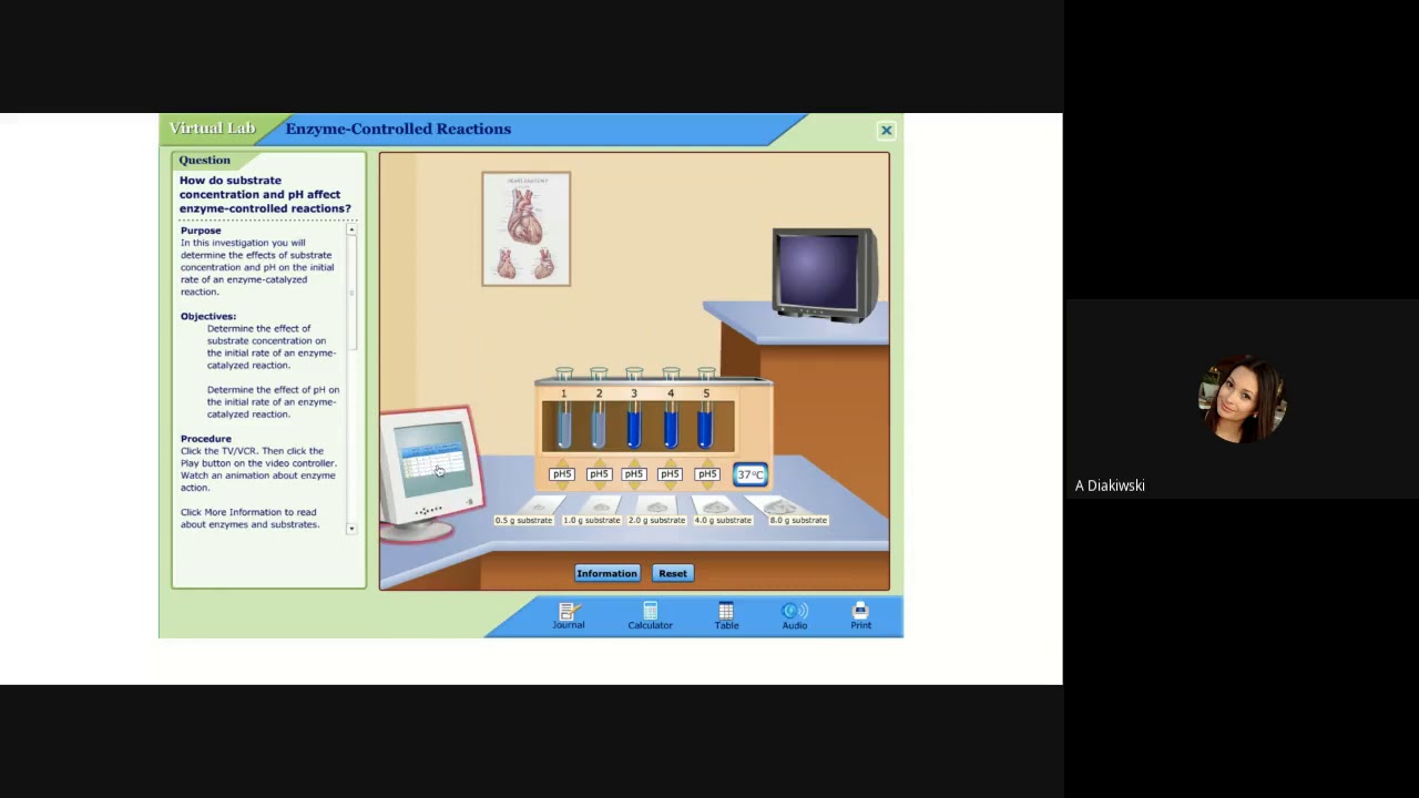 Virtual Lab  Enzyme  Controlled Reactions