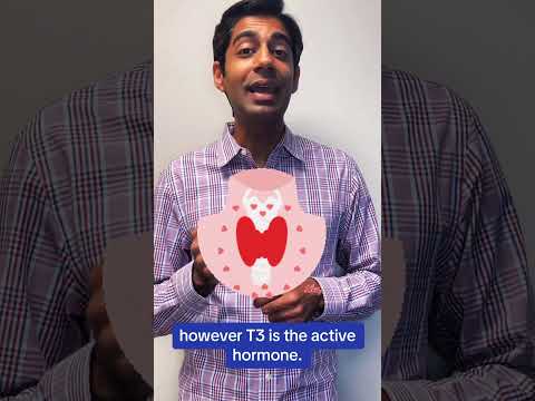 Hyperthyroidism vs Hypothyroidism Explained in 1 Minute