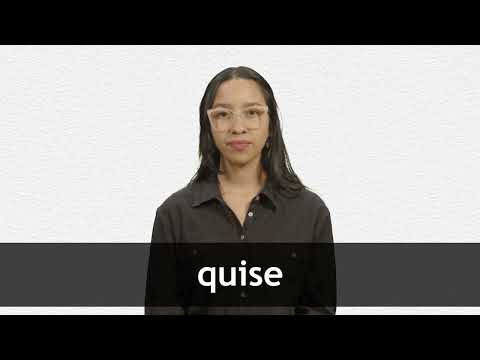 English Translation of “QUISE” | Collins Spanish-English Dictionary