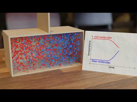 Animation 2 - Thermal Equilibrium