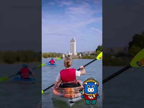 UB in the Fall 2024