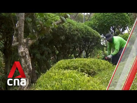 Landscape workers will see pay increase from 2023 under progressive wage model