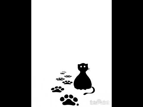 Cat paw print