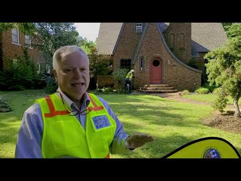 What Does The Assessor Do Part 2