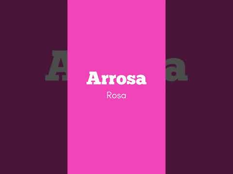 Los colores en euskera