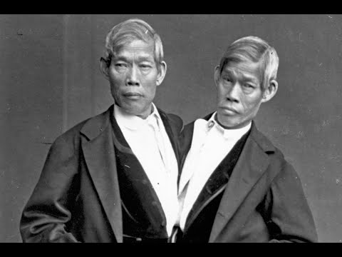 Eng and Chang Siamese twin chair.
