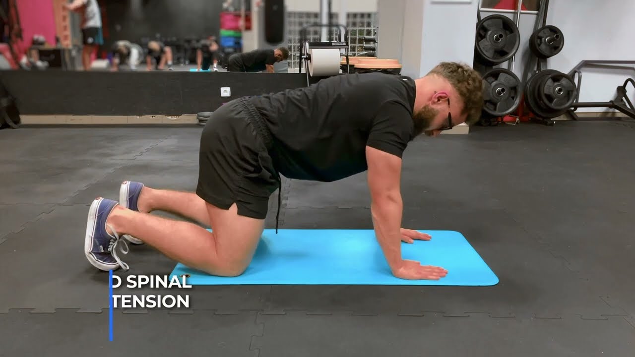 Quadruped Spinal Flexion Extension [short]