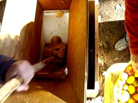 Tandem upgraded bicycle powered apple grinder for cider
