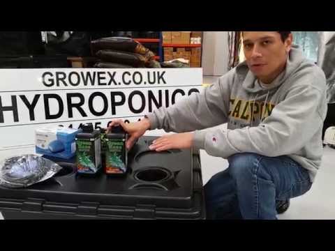 Hydroponics Nutriculture IWS Oxypot 4 DWC & IONIC Green Haze.