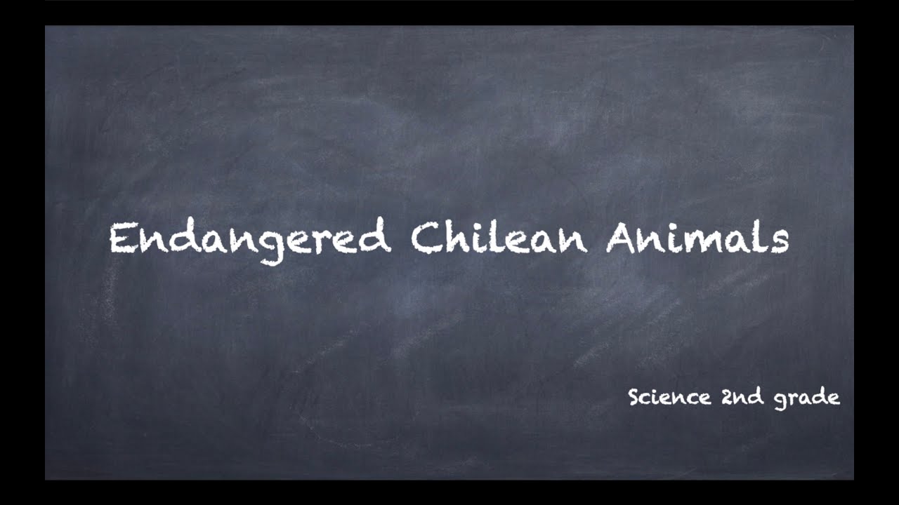 Endangered Chilean Animals