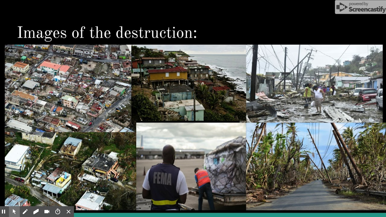 Human Rights Presentation - Google Slides