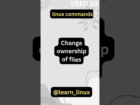 Mastering Linux chown#shorts #linux #learn_linux