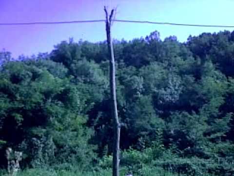 TELEKOM SRBIJA - REKLAMACIJA 977