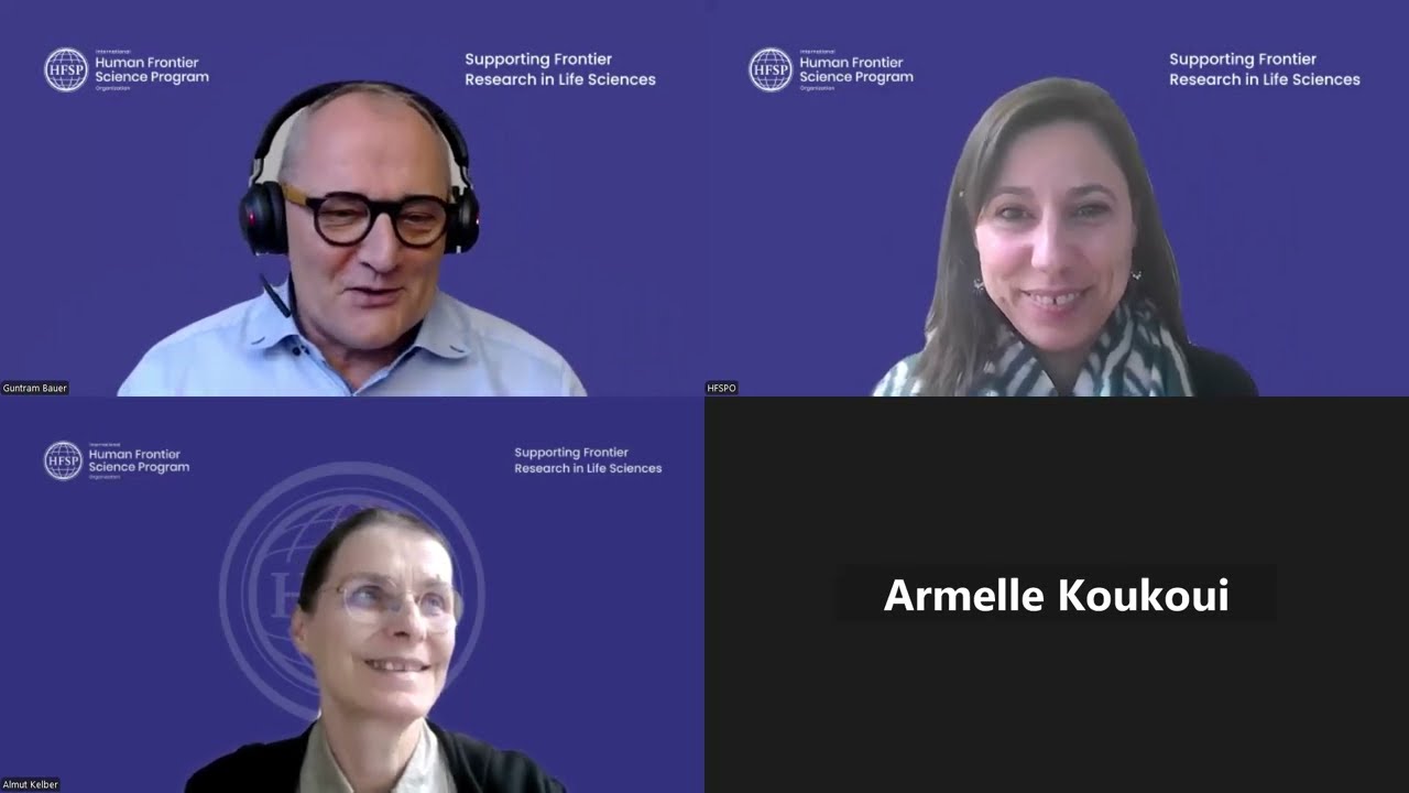 #1 HFSP Webinar: Research Grants